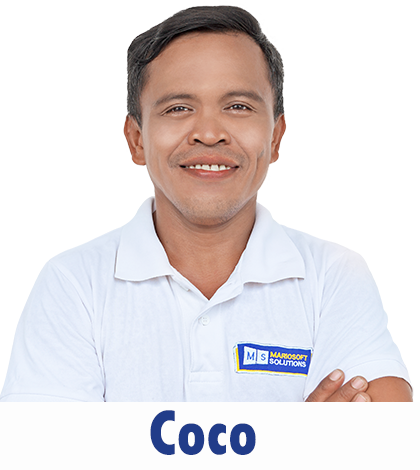 Technical Support | Mariosoft Solutions